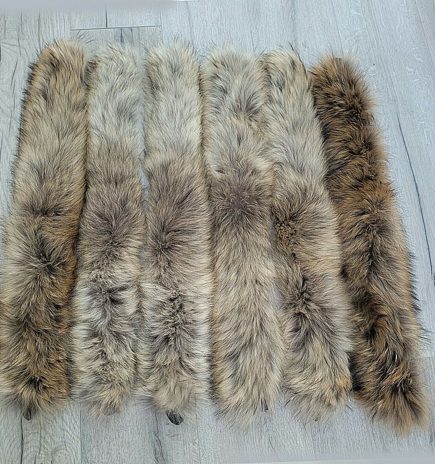 Real Genuine Raccoon Fur Whole skin Collar Trim for Coat Jacket Hood ...