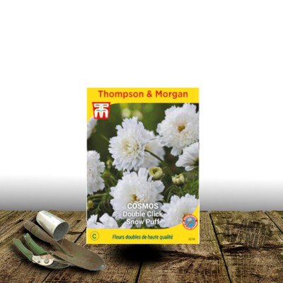 Graines de Cosmos Double Click Snow Puff - Thompson & Morgan-Blanche ...