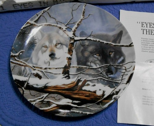 WS George Plate Eyes In The Mist Daniel Renn Pierce Eyes of the Wild ...