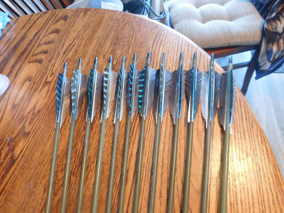 One Dozen Vintage Fiber Glass Arrows | eBay