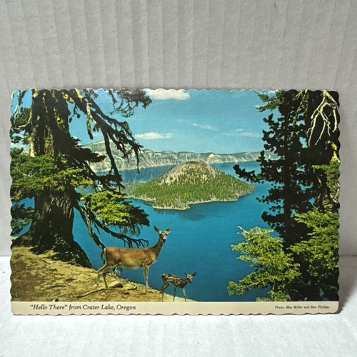 Hello There From Crater Lake Oregon Vintage Postcard | eBay