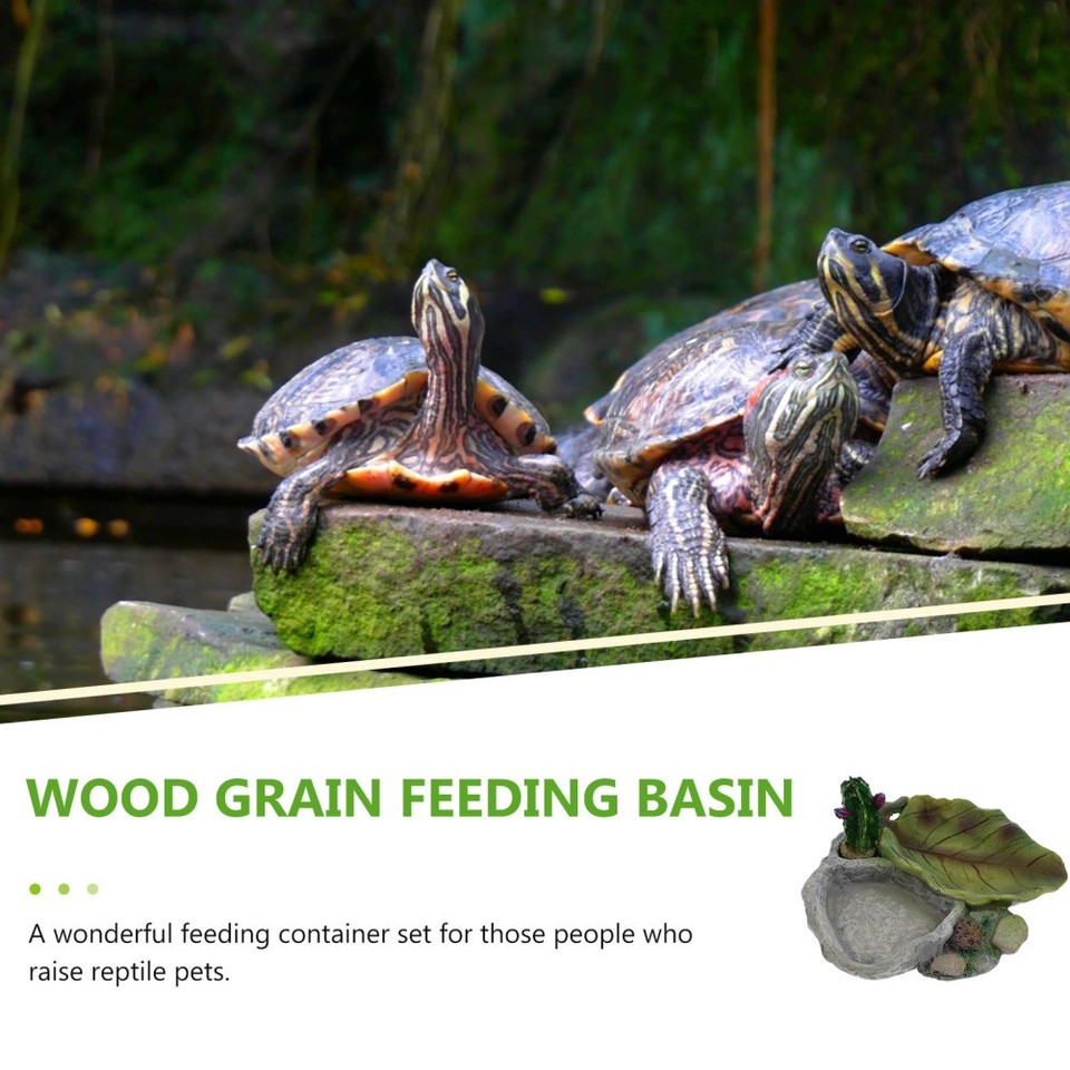 Crawling Pet Food Feeder Holder Lizard Drinking Tools Feeding Bowl ...