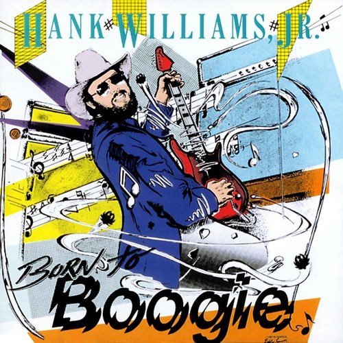 HANK WILLIAMS JR Born to Boogie BANNER 3x3 Ft Fabric Poster Tapestry ...