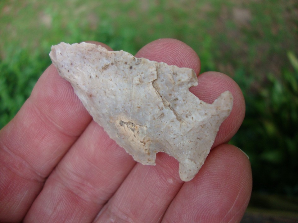 1 3/4" E Notch BOLEN BEVEL Florida Georgia Arrowhead ~87~ | eBay