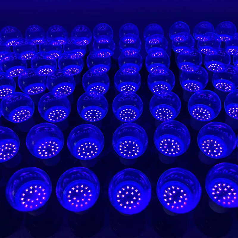 2pack A19 Led Ultraviolet Black Light Uv Bulb Glow in the Dark Ultra ...