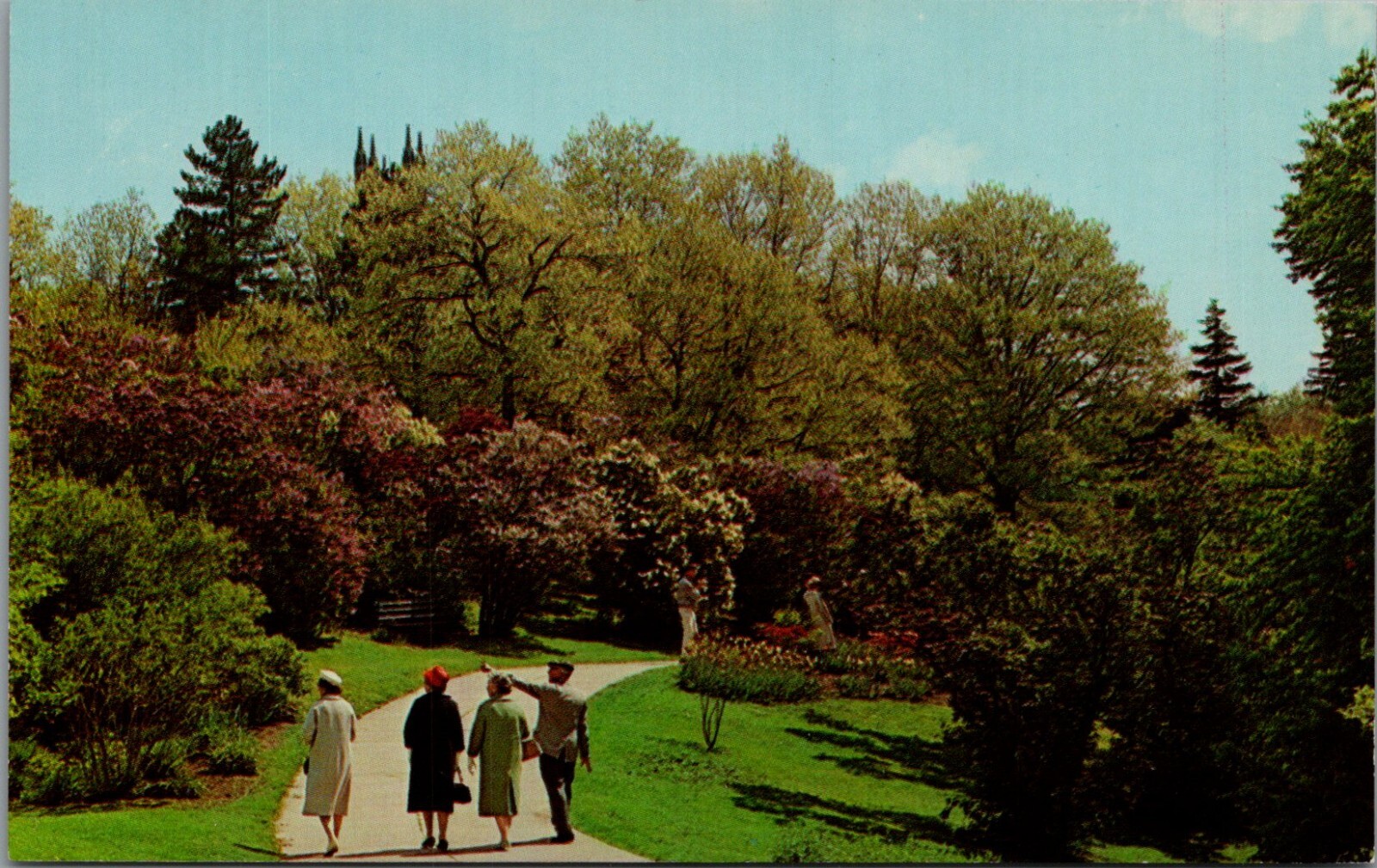 Vintage Lilac Capital Of The World Highland Park Rochester New York ...