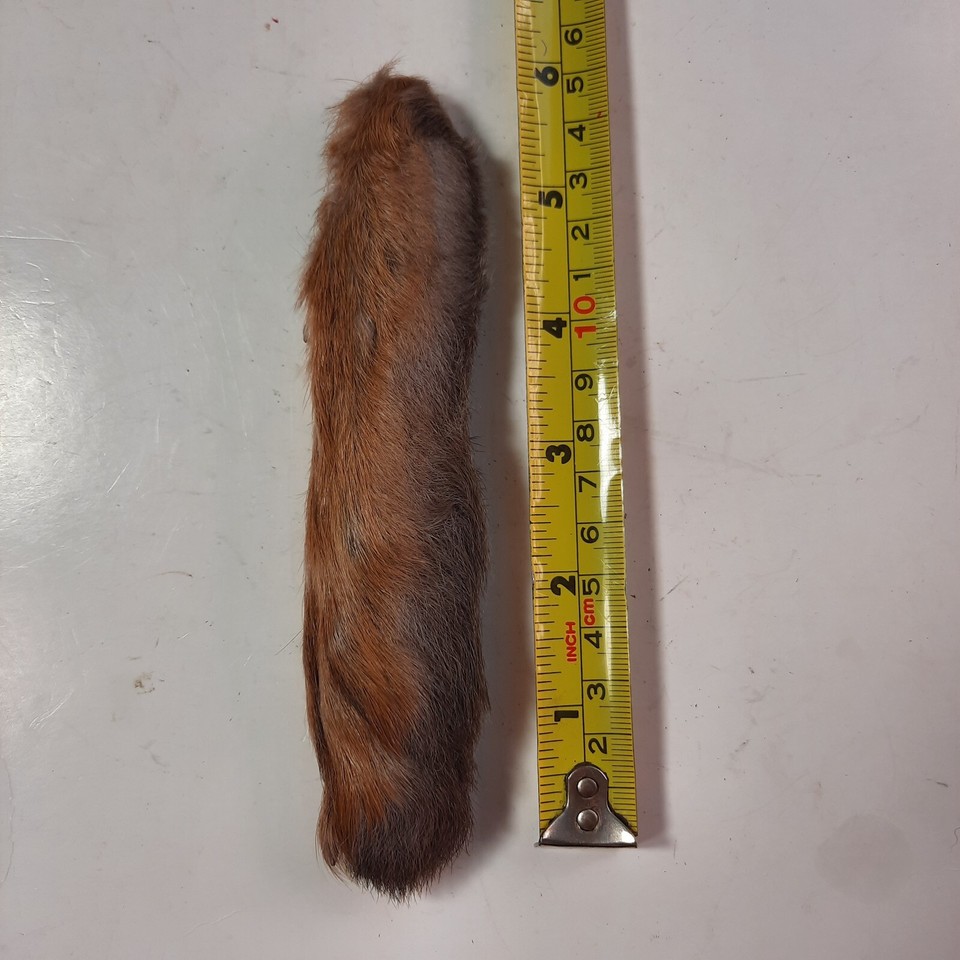 Hareline Dubbin Medium Dun Snowshoe Rabbit Foot Fly Tying Materials D ...