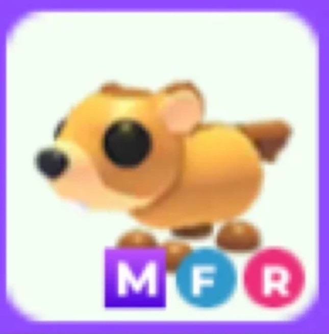 Adopt A Pet from Me - MFR Groundhog -Fast Delivery- Mega Neon Fly Ride ...