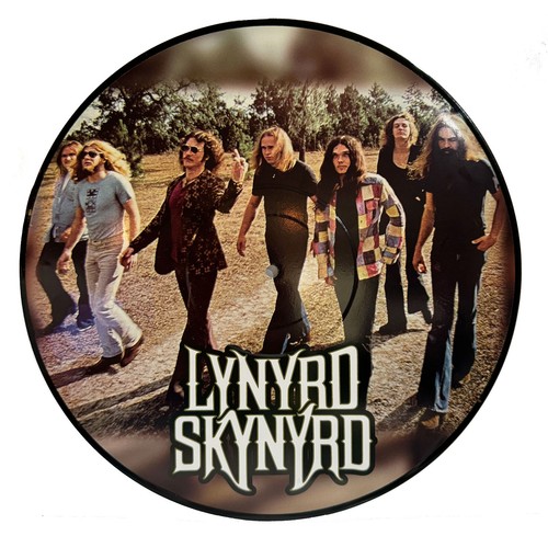 Lynyrd Skynyrd - Band Photo Picture Disc - Real Vinyl 12" - Upcycled ...