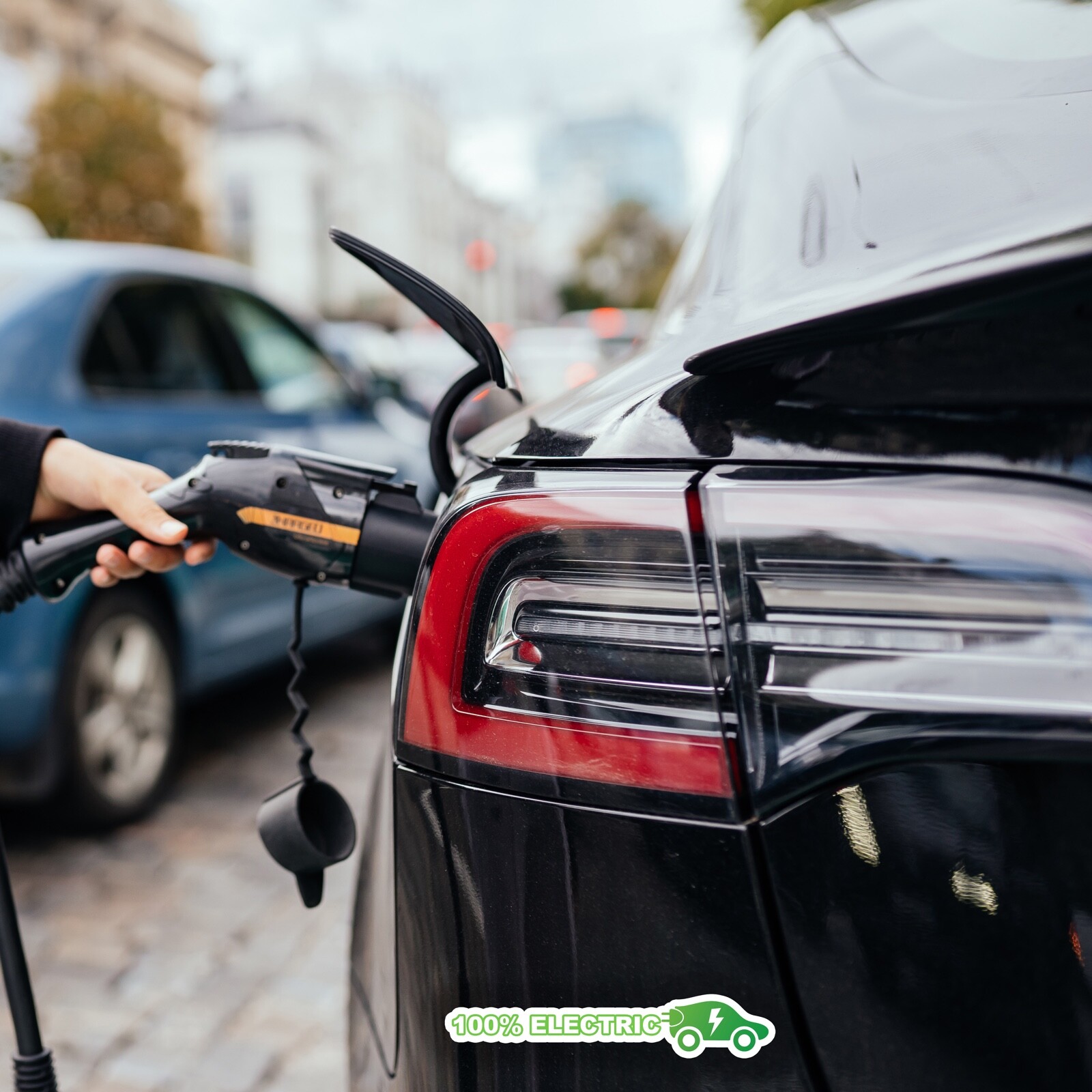 100% Percent Bumper Sticker Electric Car Vehicle EV Decal Drive Go ...