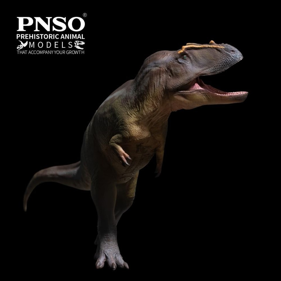 PNSO 95 Mayer The Tameryrapt Jurassic Dinosaur Model Figure Collections ...