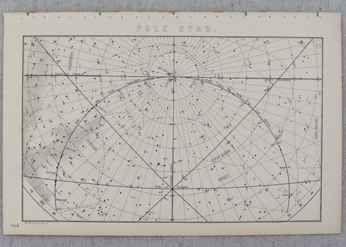 Antique 19th Century Astronomical Bookplate Print Pole Star ...