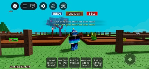 *EXTREMELY* STACKED 1x Candy Blossom Account | Grow A Garden | eBay