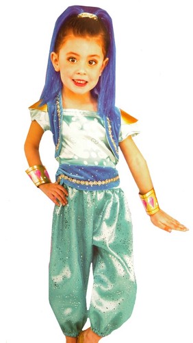 Girls Toddler SHIMMER & SHINE Genie Halloween Costume Purim Wig 2T 3T ...