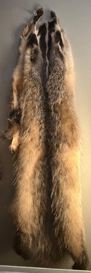 American badger pelt, real animal fur | eBay