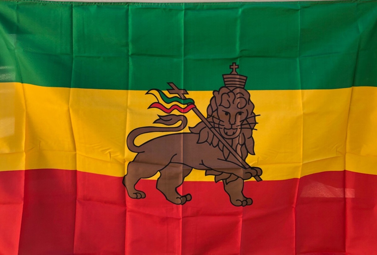 X 5 Lions Flag