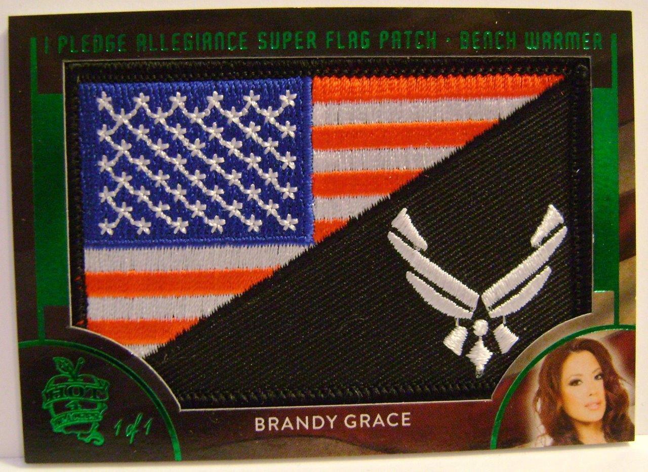 BRANDY GRACE 1/1 PLEDGE ALLEGIANCE FLAG PATCH HOT FOR TEACHER BENCH ...