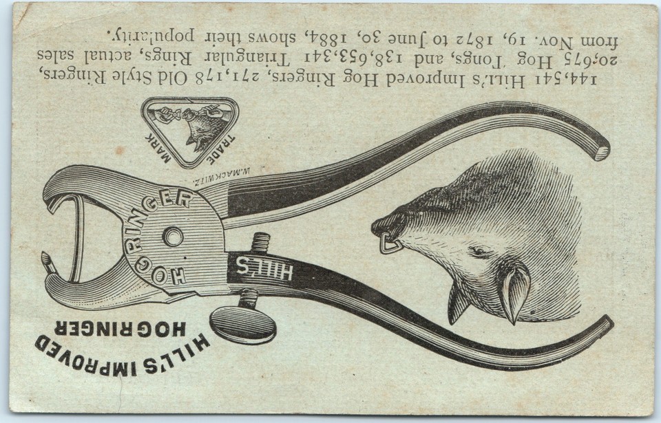 c1880s Davenport IA Hills Hog Ringer Trade Card Pig Anthropomorphic ...