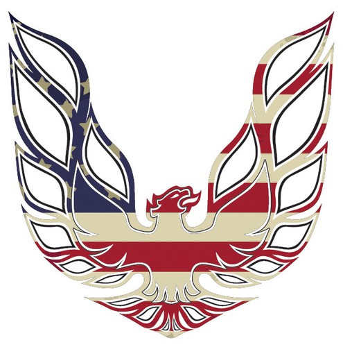 52" X 52" Firebird Hood Graphic Car Decals Sticker 4 Pontiac Trans Am ...
