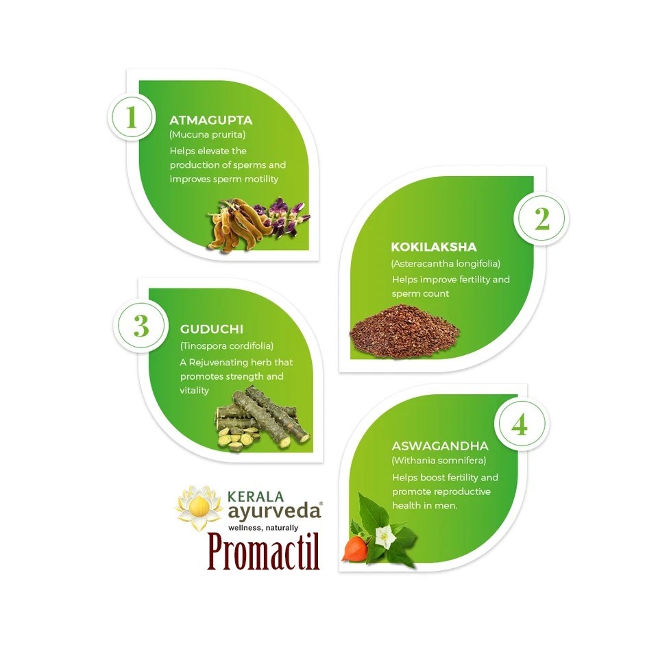 Kerala Ayurveda Promactil Capsule 100 Nos Herbal Ayurvedic Sexual ...
