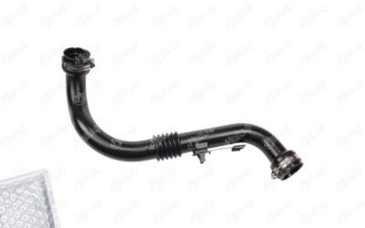 8200201617 Turbo Hose for Renault Megane Scenic 1.9 DCi | eBay