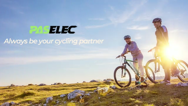 PASELEC GS9 Electric Mountain Bicycle E-bike 27.5'' MTB with 1000W Peak ...