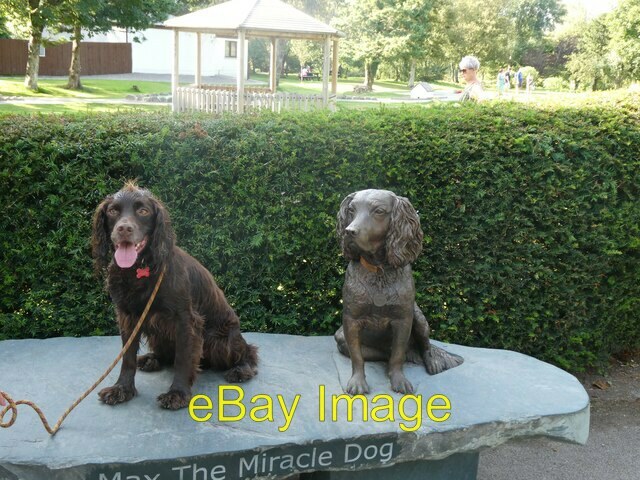 Photo 6x4 Statue of Max the Miracle Dog in Hope Park With Alfie happy ...