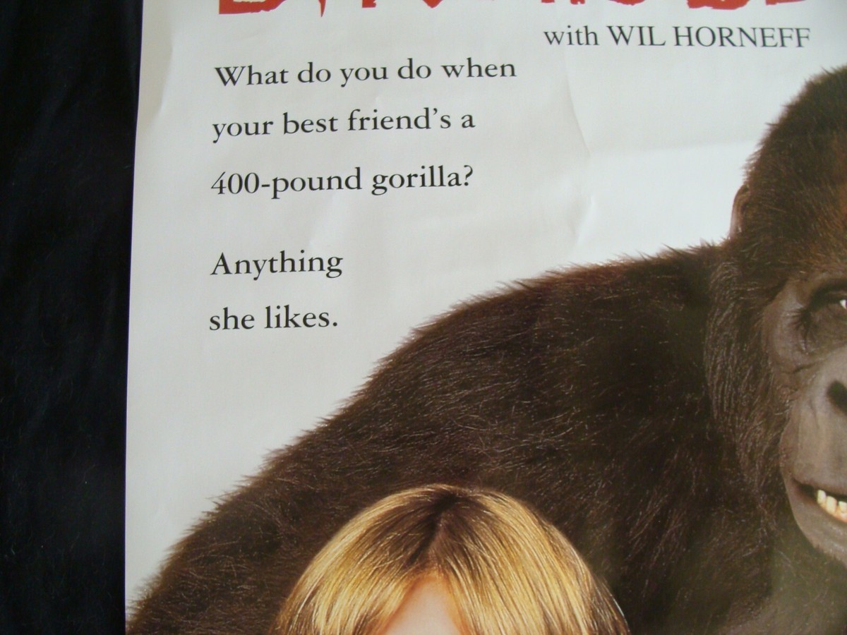 Wil Horneff 2013 Wil Horneff Pictures | Rotten Tomatoes