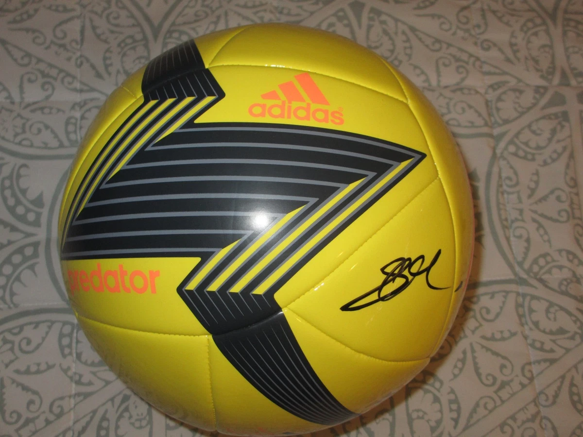 Adidas Predator Soccer Balls