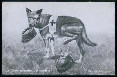 German Shepherd Red Cross War dog pee German Helmet ww1 WWI old c1915 ...