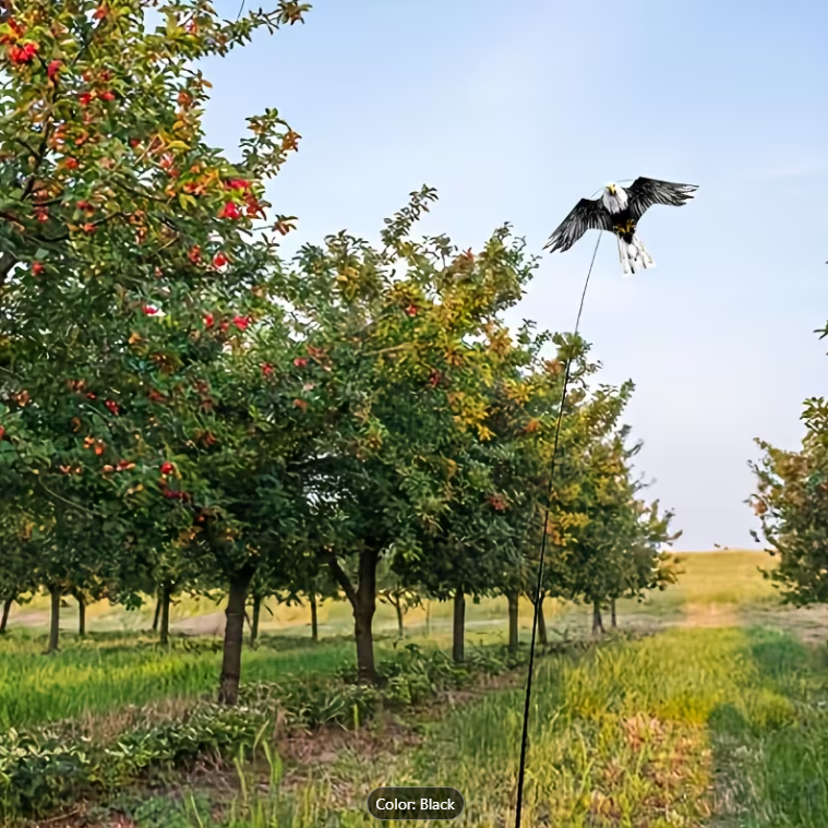 Scarecrow Eagle Fly Kite Effective Bird Scarer, With 4 M Telescopic ...