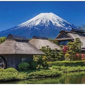 satori-fuji-japan | eBay Stores