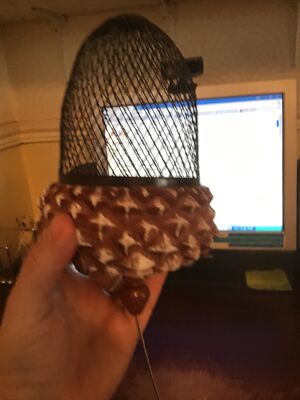 BIRD BOX BROWN ACORN BIRD FEEDER HANGING CORD GARDEN AVION BIRTHDAY ...