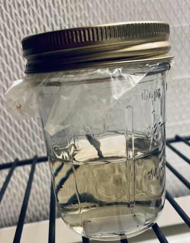 Sale! Liquid Culture Jar Nutrient Solution W/stir Bar- Ready To ...