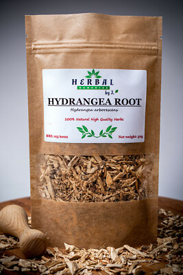 Hydrangea Tea Dried Root Organic Hydrangea arborescens Kidney support ...