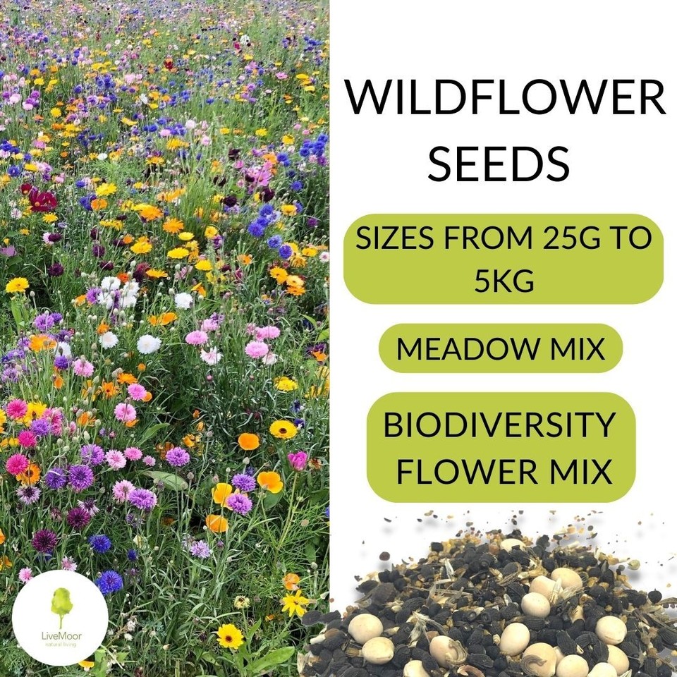 Wild Flower Wildflower Seeds - Bee & Butterfly Mix - Great Colours ...