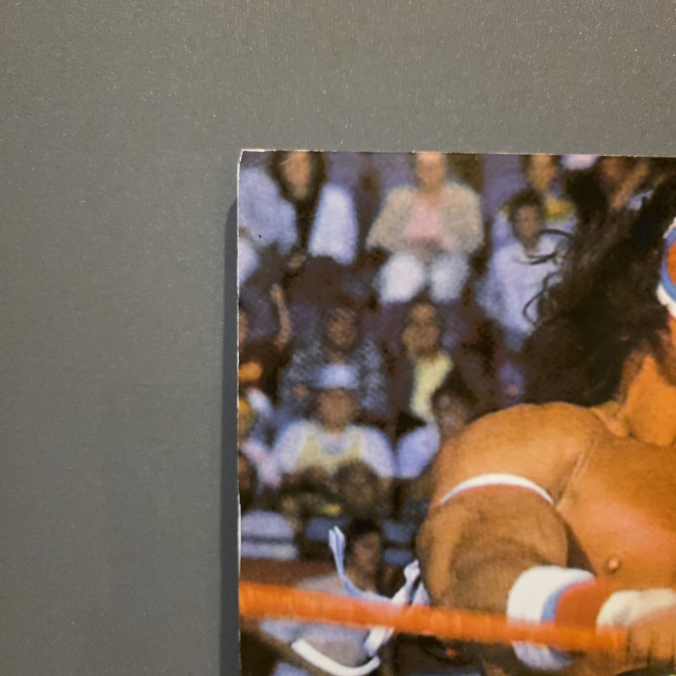 WWF/WWE ULTIMATE WARRIOR 🔥 SIGNED🔥 AUTOGRAPHED 13X23 Foam Poster Litho ...