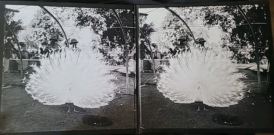 Jack White - Blunderbuss - 2012 US 1st Press - LP Vinyl Album | eBay