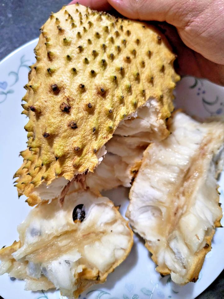 1.000+ Golden Soursop Seedss (Annona muricata) For Planting | eBay
