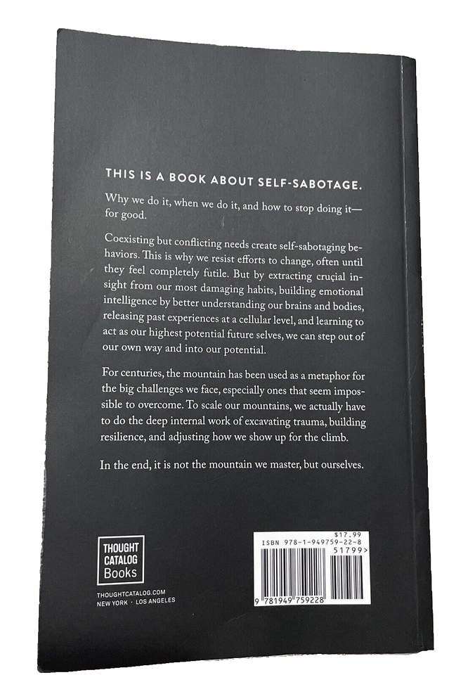 THE MOUNTAIN IS YOU Book by Brianna Wiest Paperback Transforming Self ...