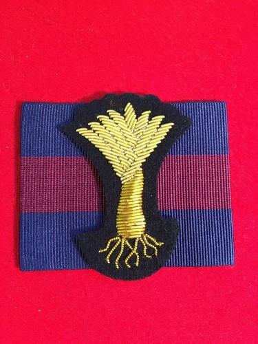 Quality Welsh Guards Officers Beret Badge + Guards Beret Flash WG Beret ...