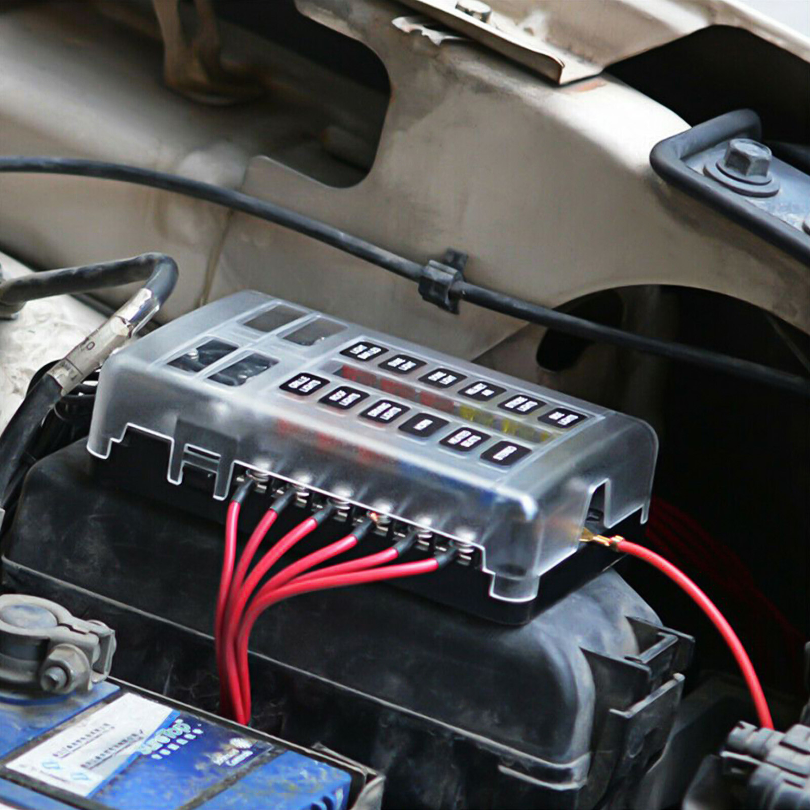 6/12Way 12V 24V Blade Fuse Box Holder & Standard Blade Fuses For Car ...