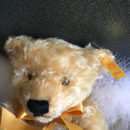Steiff Teddy Bear Angel Pie Angel Ver W/Box Morinaga Novelty 2007 ...