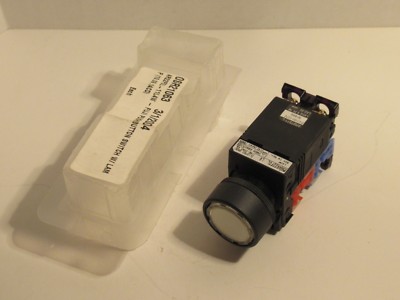 FUJI ELECTRIC AR22F0L 30V 1W ILLUMINATED PUSHBUTTON NEW | eBay
