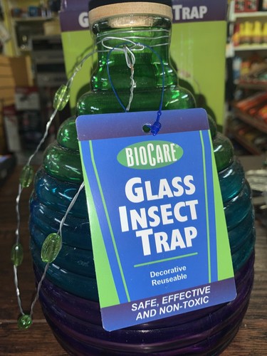 New Glass Insect Trap | eBay