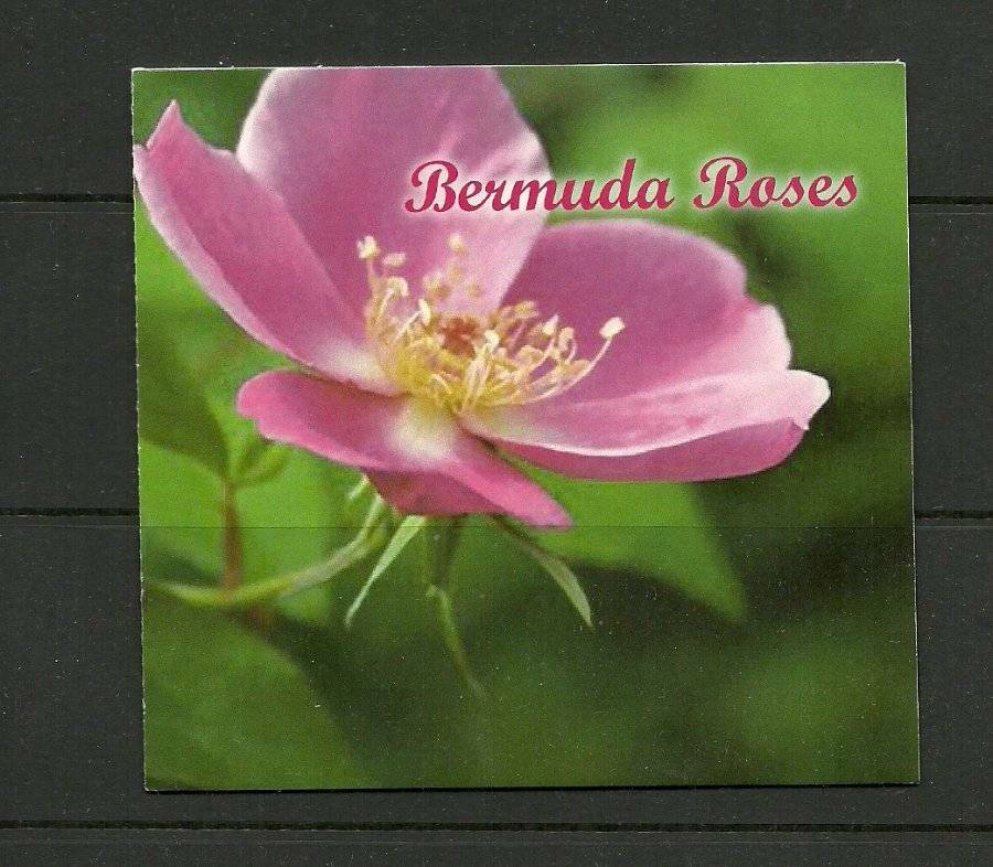 BERMUDA SGSB12 BERMUDA ROSES BOOKLET MNH | eBay