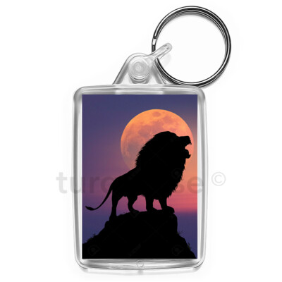 Lion Art Keyring Gift Key Fob Keychain | Medium Size | eBay UK