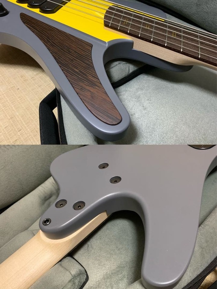 DINGWALL D-Roc Custom 5 Electric Bass Guitar | eBay UK