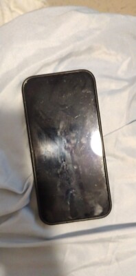 iPhone 14 Pro Max Verizon TIKTOK CapCut Phone Can Use TLC | eBay