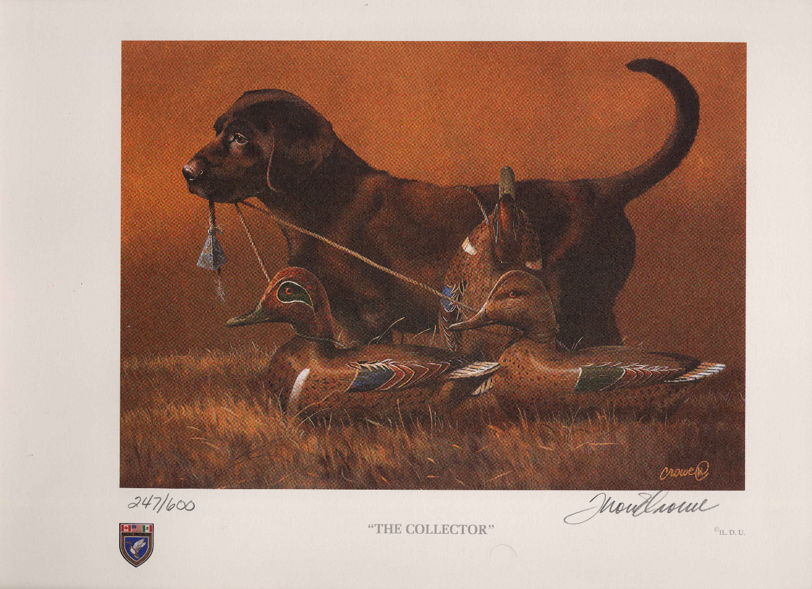 ILLINOIS #21 1995 STATE DUCK STAMP PRINT CHOCOLATE LAB, DECOYS by P ...